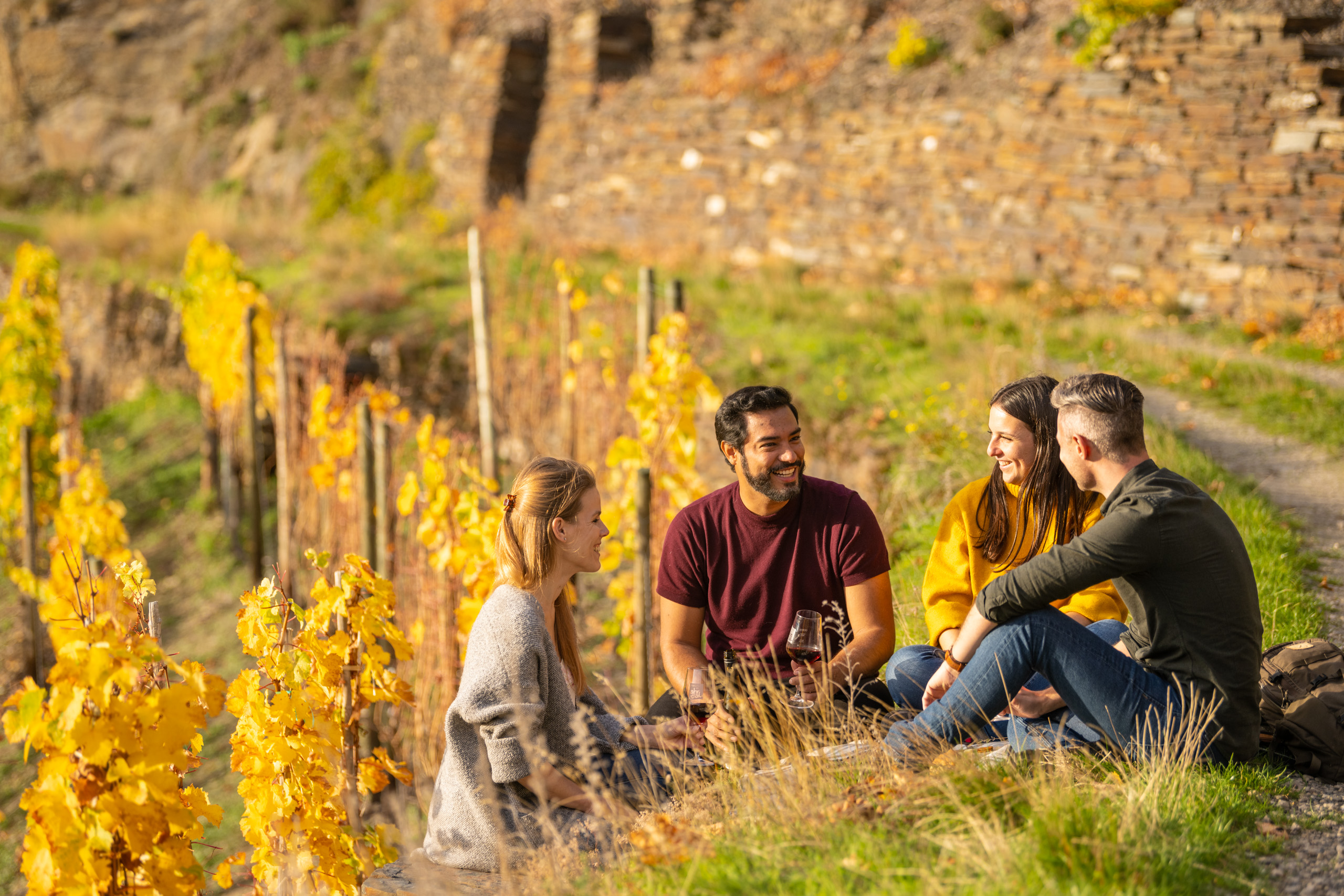 Weinherbst Mittelahr | Calendar of events